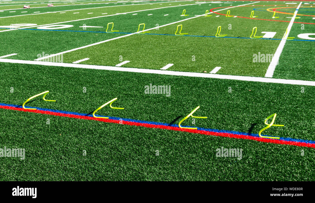 Six and twelve inch yellow mini hurdles are set up on a green turf field for speed and agility ...