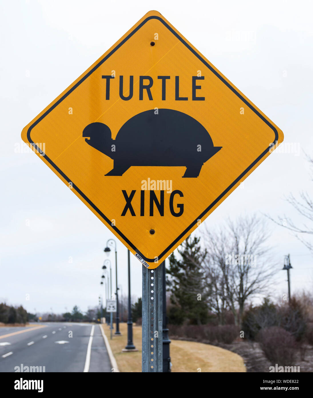 Sign slow turtle hi-res stock photography and images - Alamy