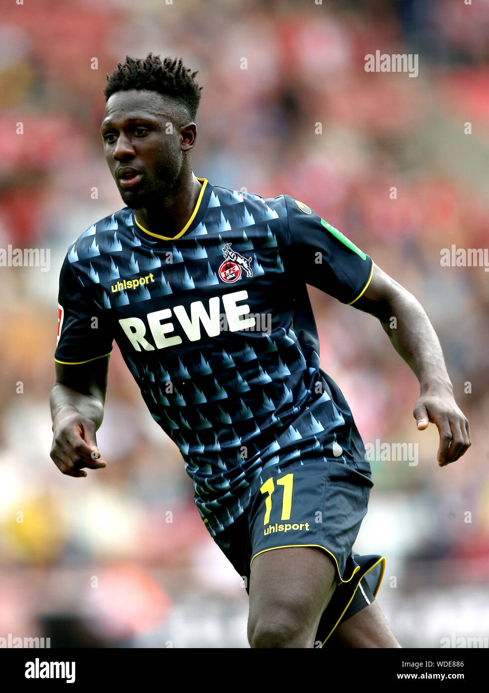 Kingsley schindler hi-res stock photography and images - Alamy