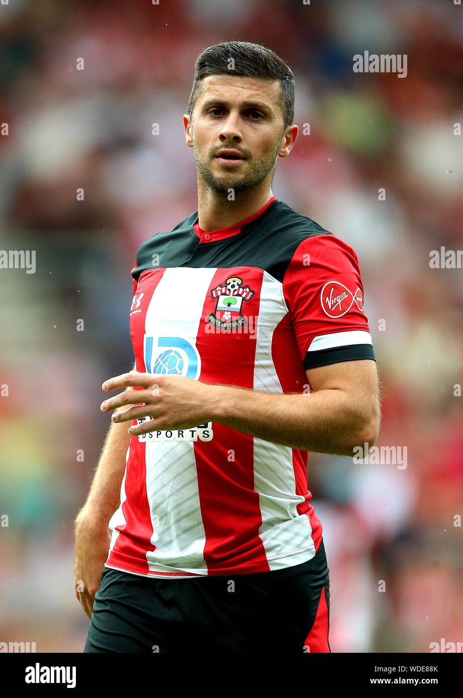 Shane long southampton hi-res stock photography and images - Alamy