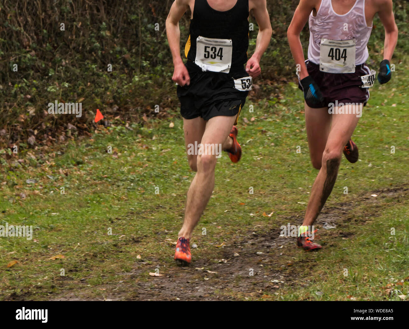 Two male runners racing on a dirt path in cross country are muddy ...