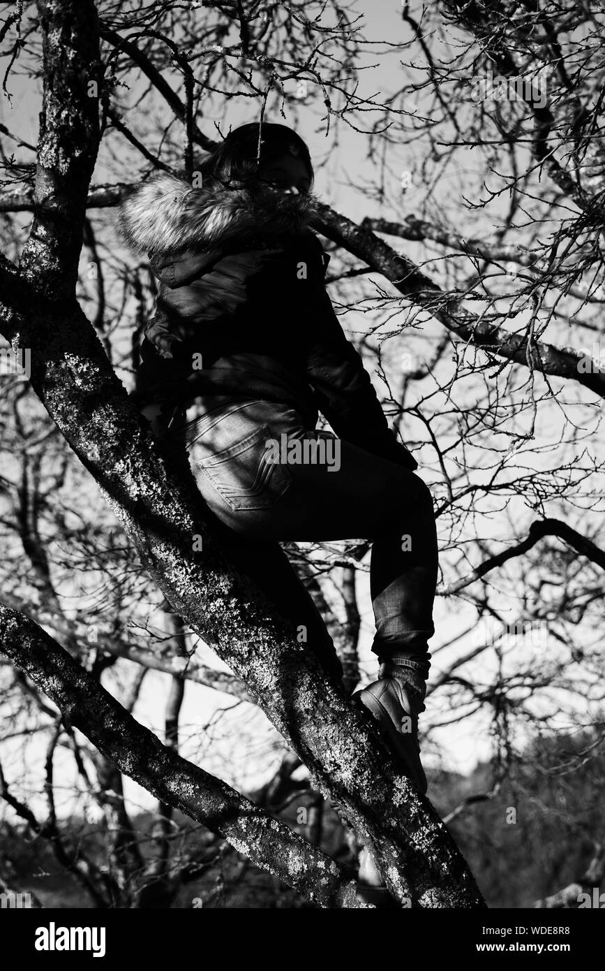 Woman Sitting Branch Tree High Resolution Stock Photography and Images ...