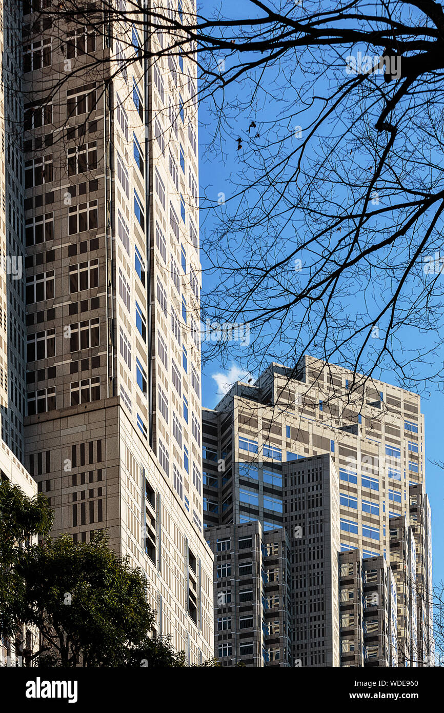 Tokyo high rise buildings and tree branches Stock Photo - Alamy