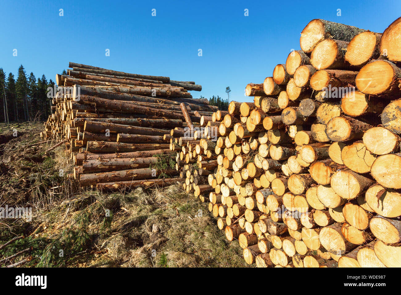 Logging depot hi-res stock photography and images - Alamy