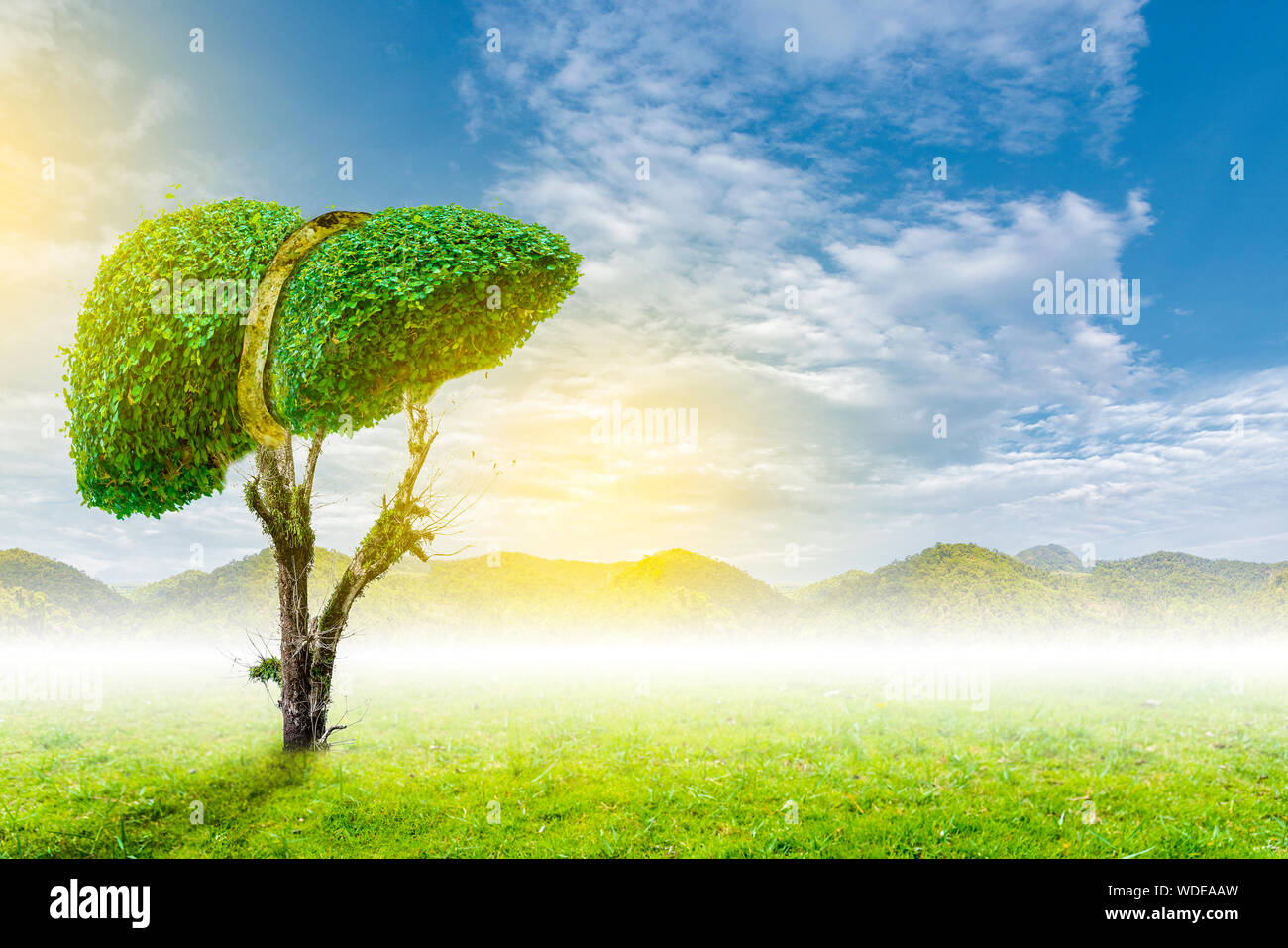 Realistic liver images are human green tree shapes about diseases and ...