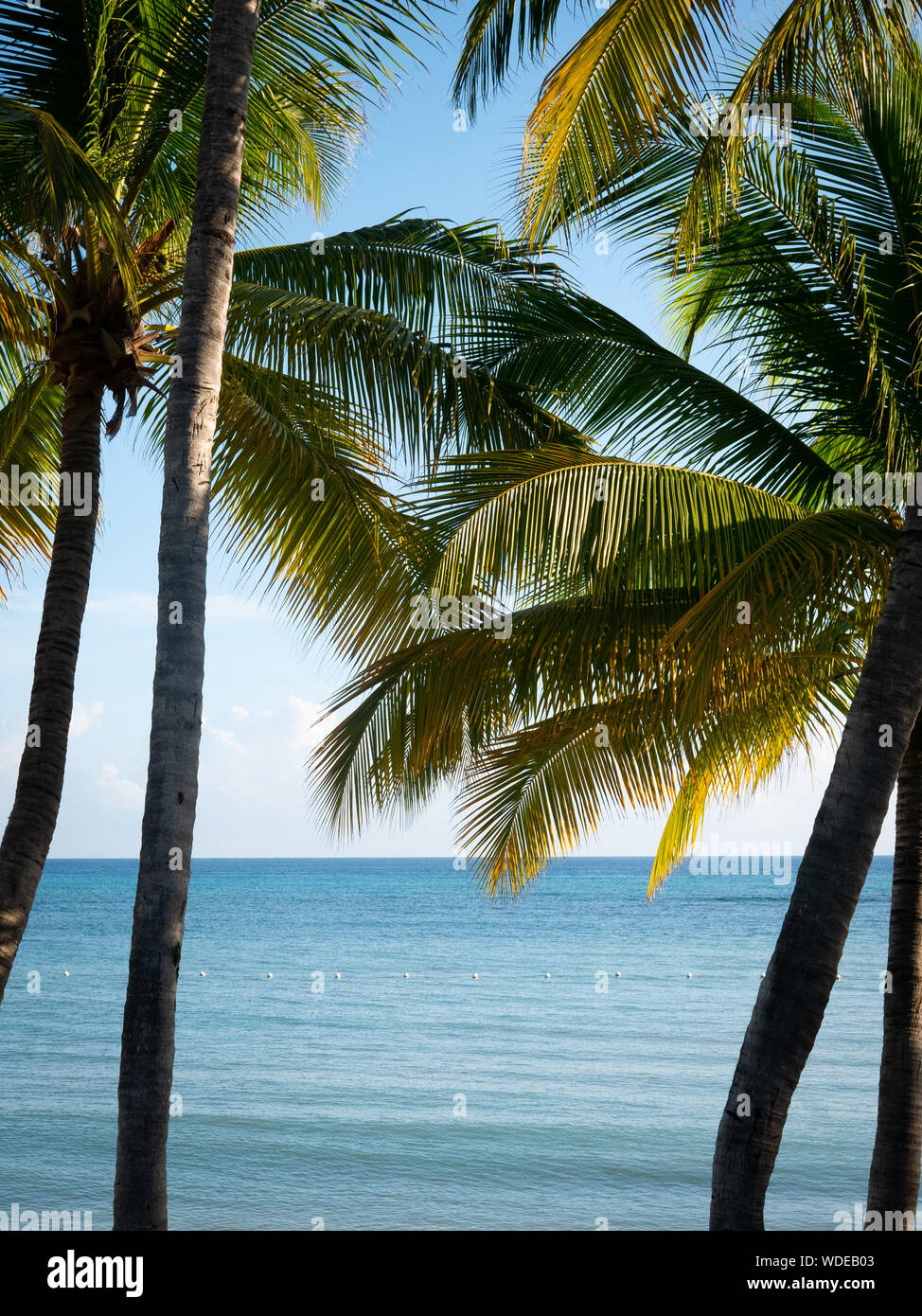 Montego bay jamaica hi-res stock photography and images - Alamy