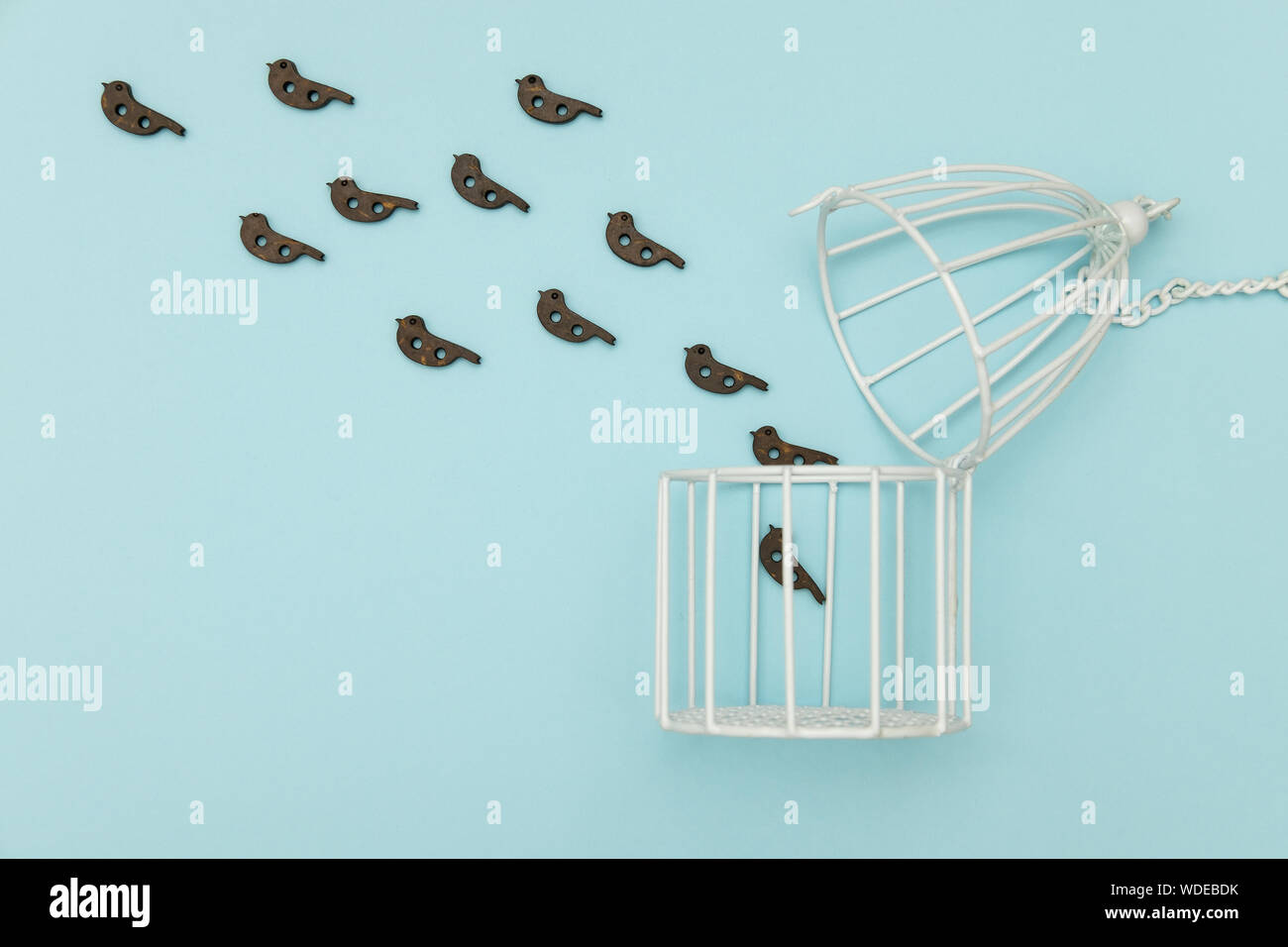 Blue Bird Cage High Resolution Stock Photography and Images - Alamy
