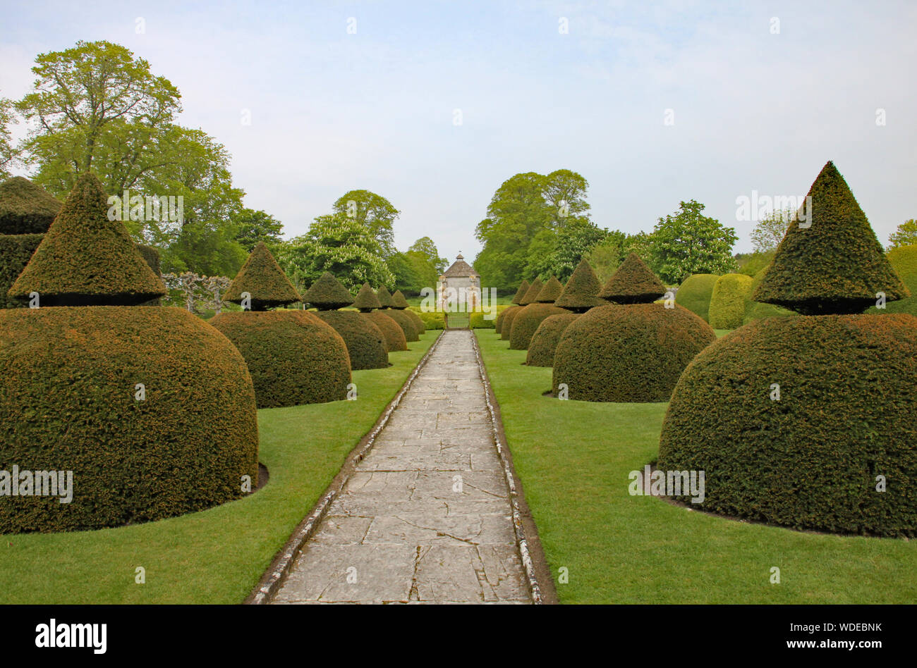 A pathway runs between topiary on a well manicured lawn on a country ...