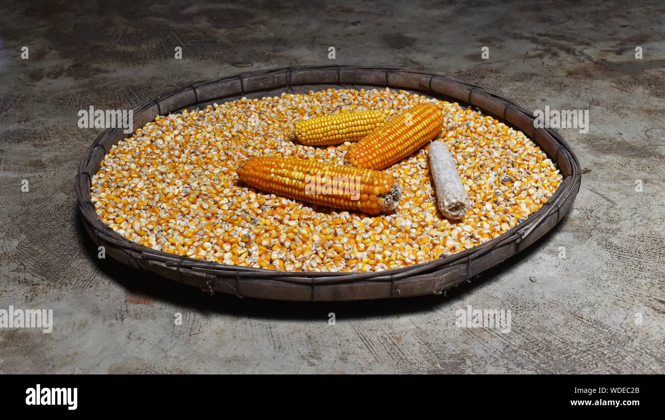 Corn floor hi-res stock photography and images - Alamy