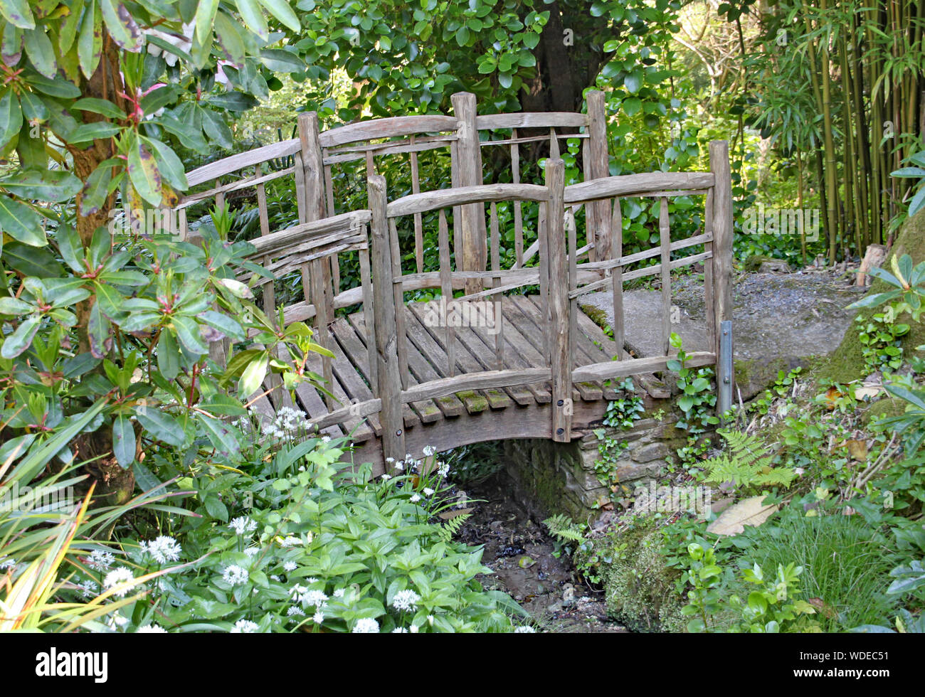 An old rustic fence over a tiny stream in an English country garden in ...