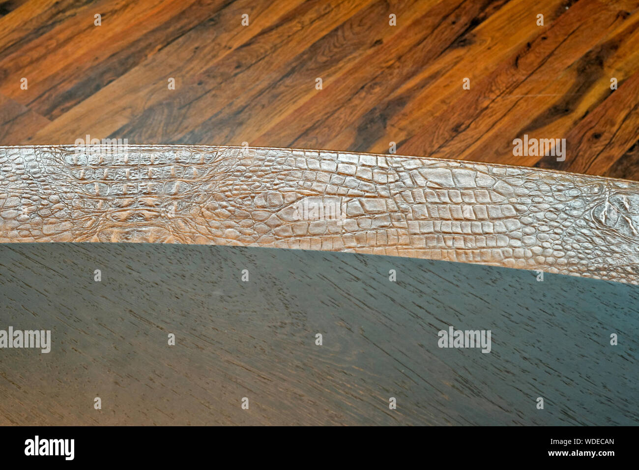 Real crocodile hi-res stock photography and images - Alamy