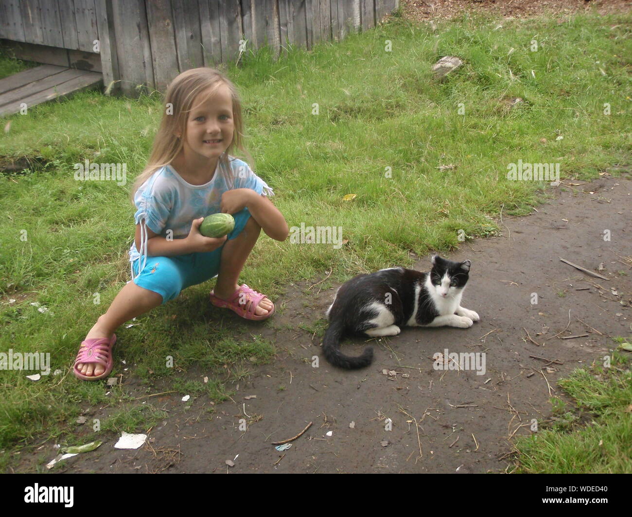Crouching cat hi-res stock photography and images - Alamy