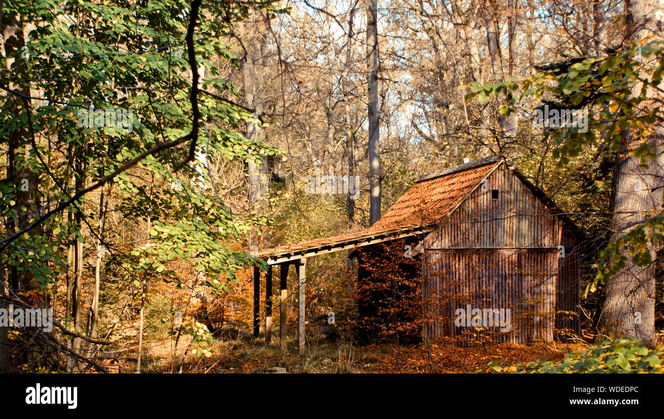 Wood cabin forest hi-res stock photography and images - Alamy