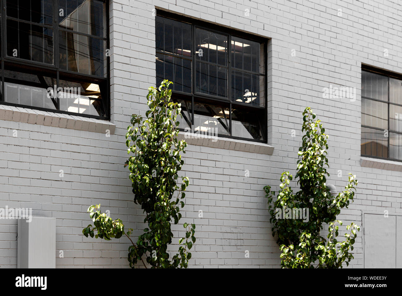 White building with green trim hi-res stock photography and images - Alamy