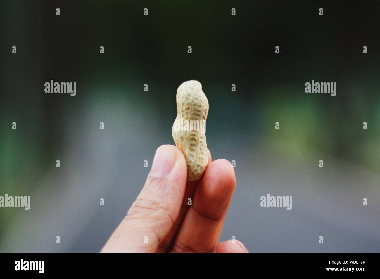 Human peanut hi-res stock photography and images - Alamy