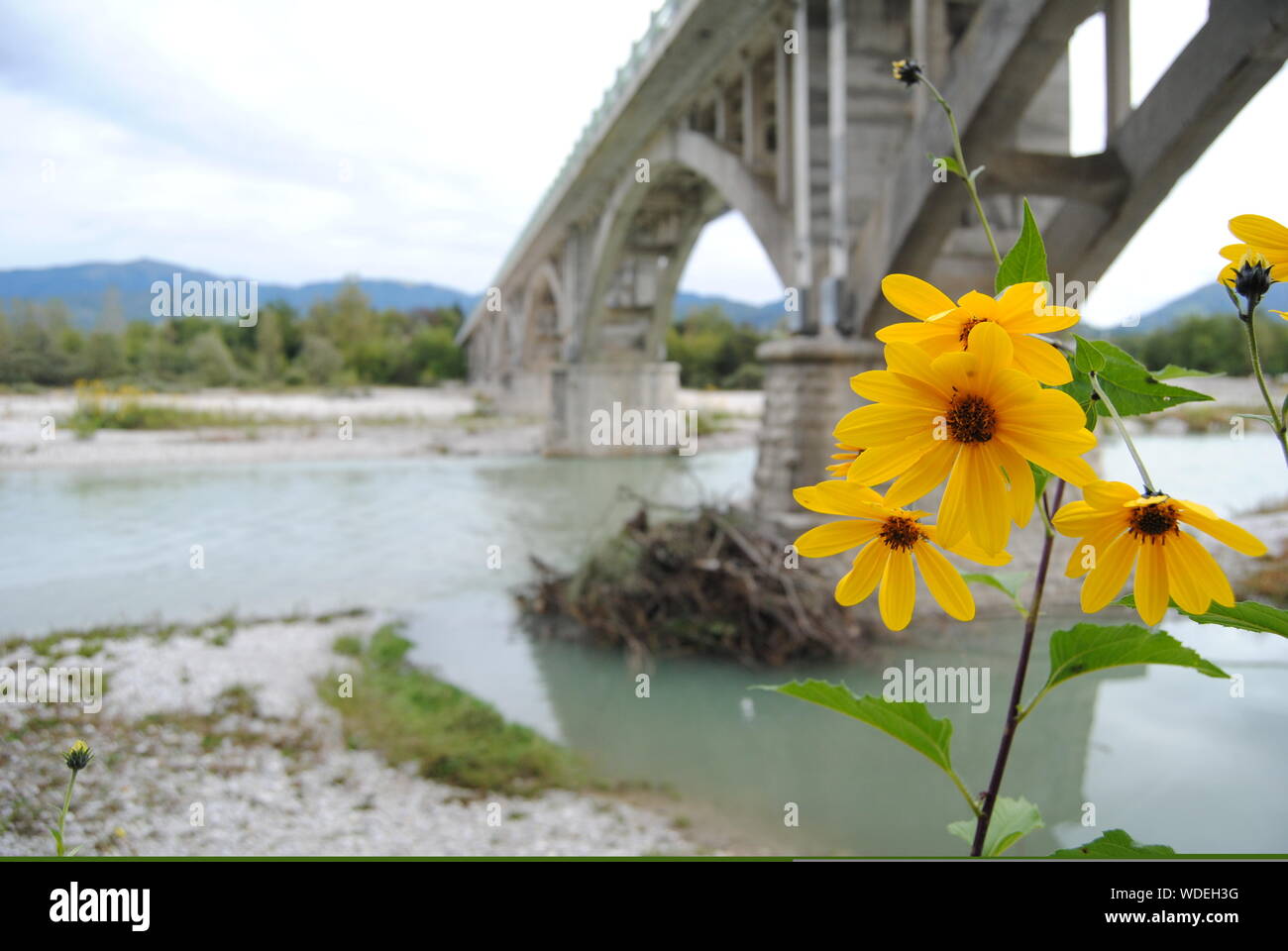 Yellow arch hi-res stock photography and images - Alamy