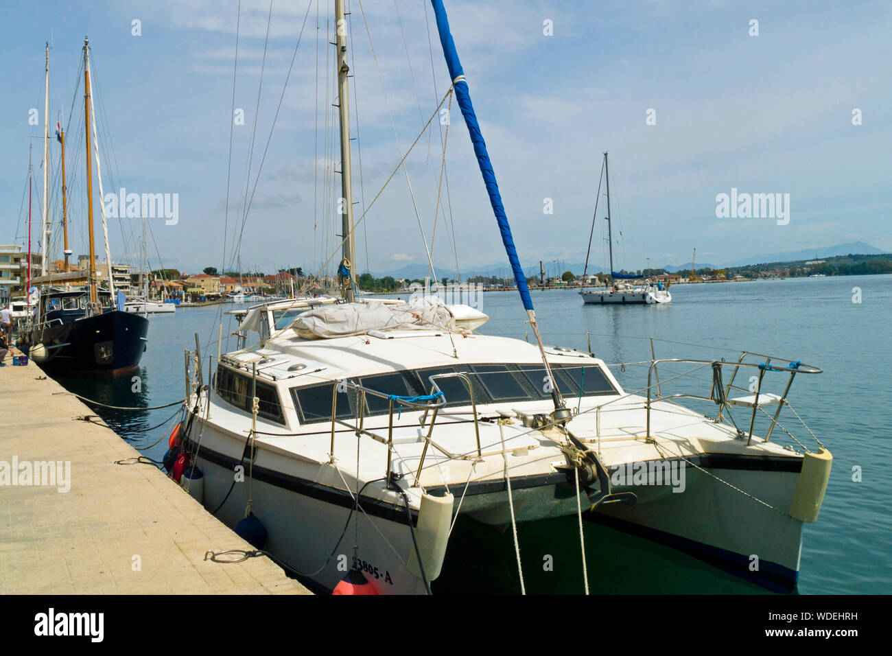 Prout cat hi-res stock photography and images - Alamy