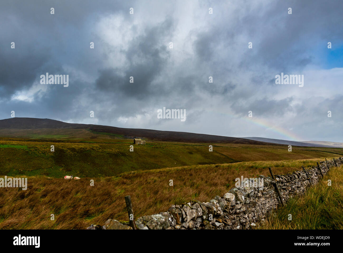 Storm yorkshire moors hi-res stock photography and images - Alamy