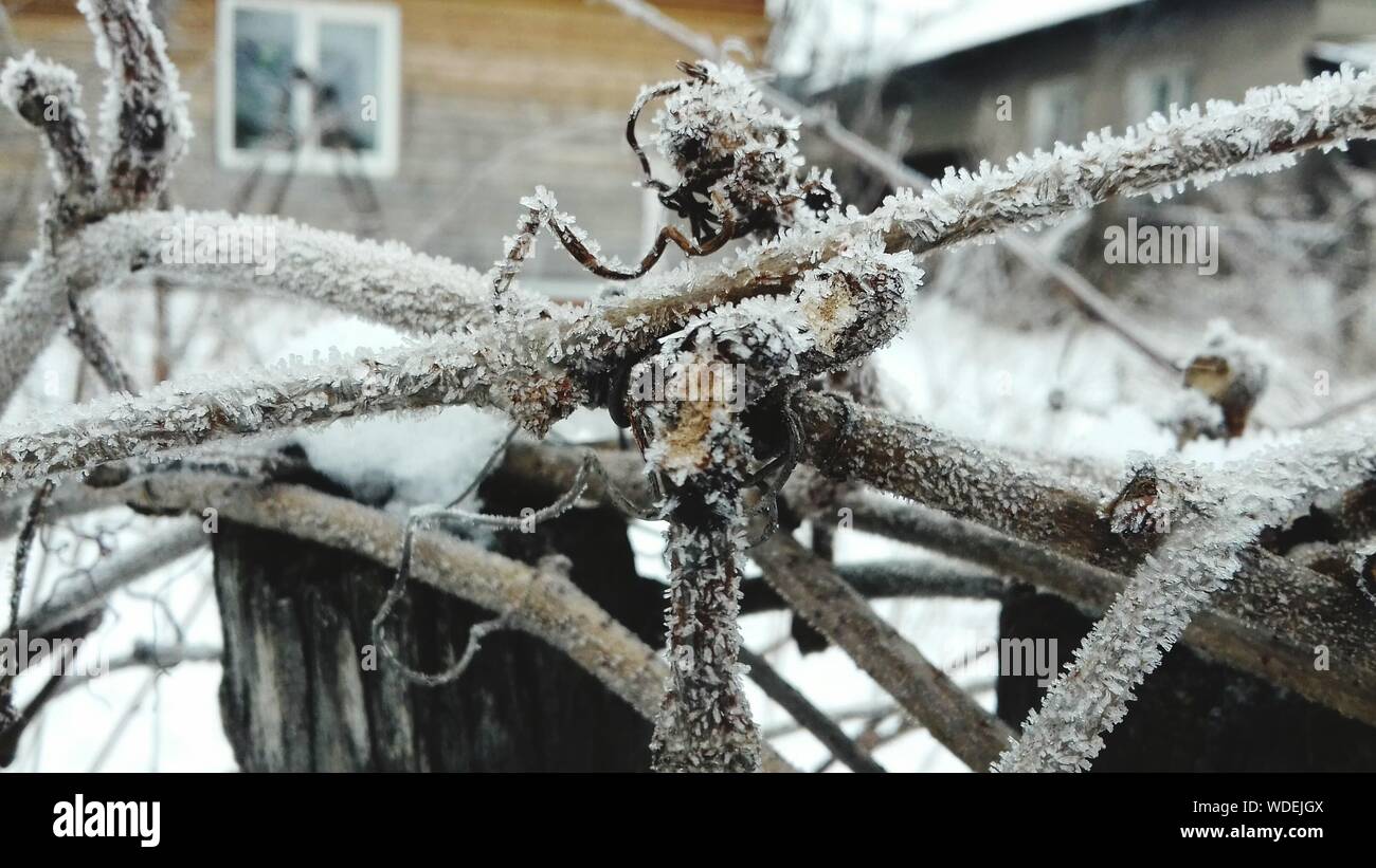 Dead of winter hi-res stock photography and images - Alamy