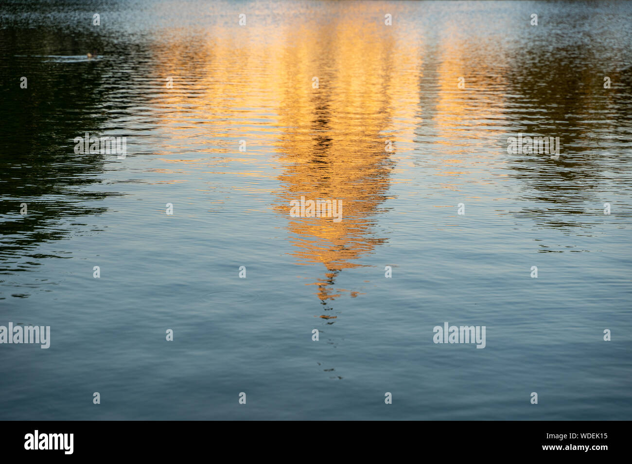 Abstract reflection of the US Capitol Building in the reflecting pond ...