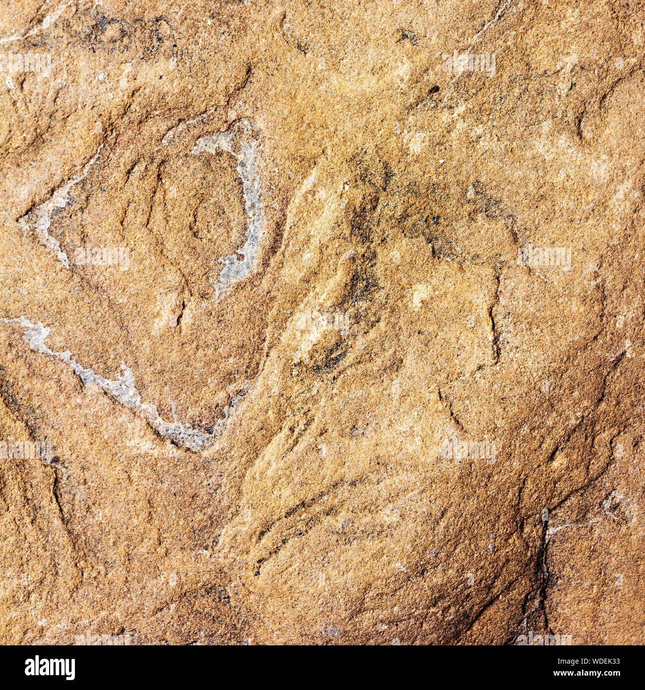 Light brown stone background texture of the flagstone Stock Photo - Alamy