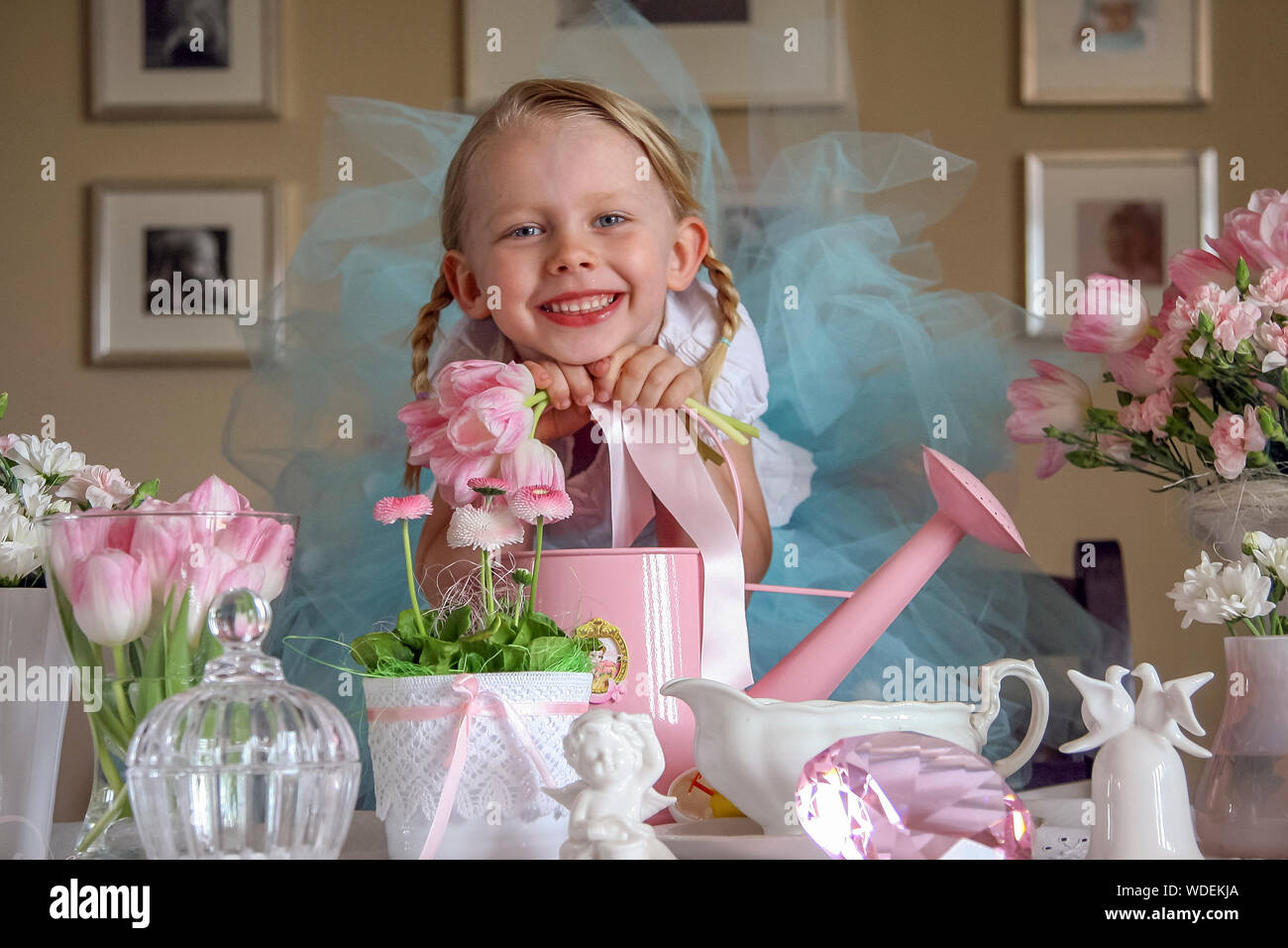Portrait of objects hi-res stock photography and images - Alamy