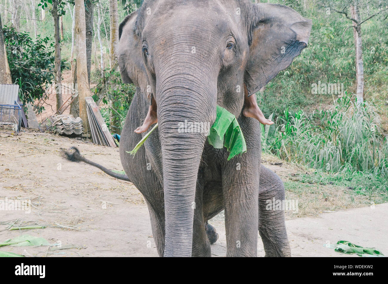 Feet ground part of hi-res stock photography and images - Alamy