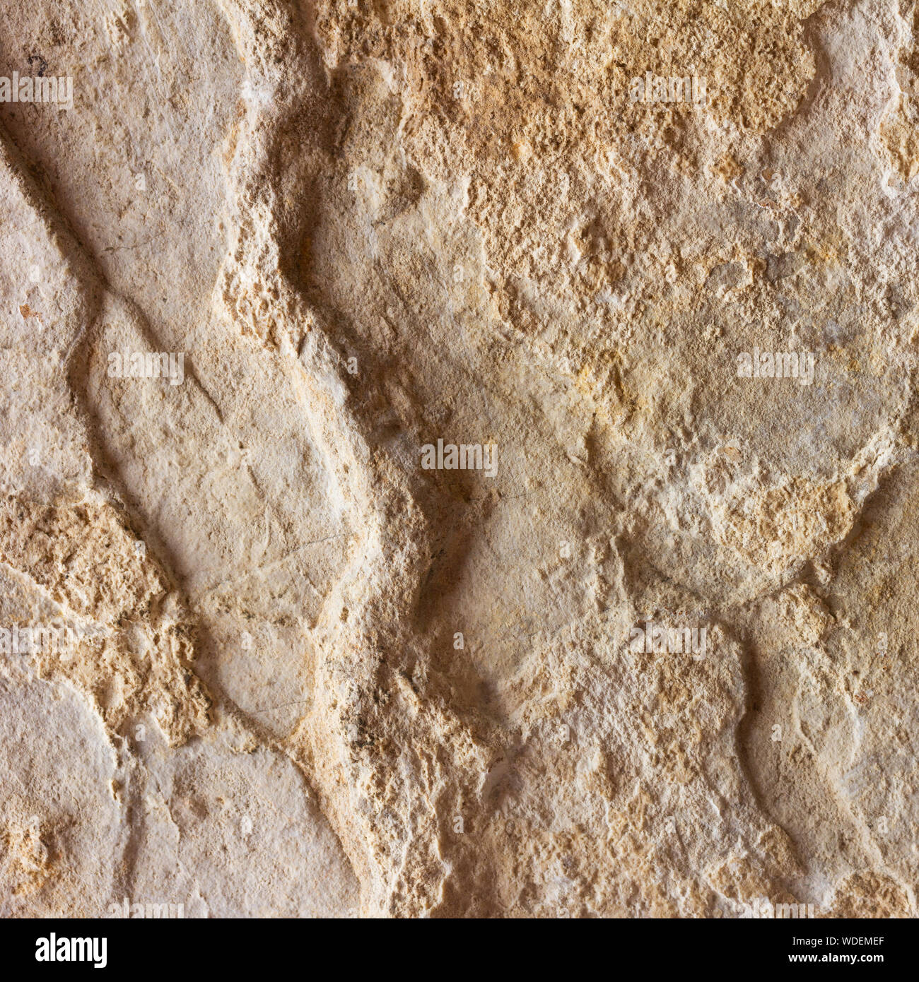 Light brown stone background texture limestone flagstone Stock Photo ...