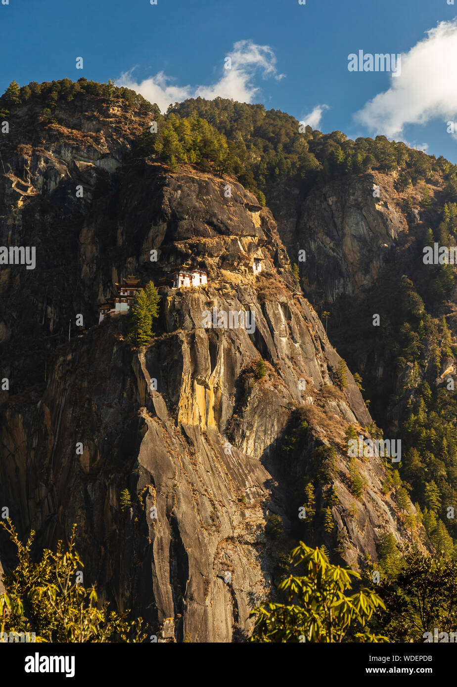 View of Tiger's Nest Monastery on the mountain, Bhutan Stock Photo - Alamy