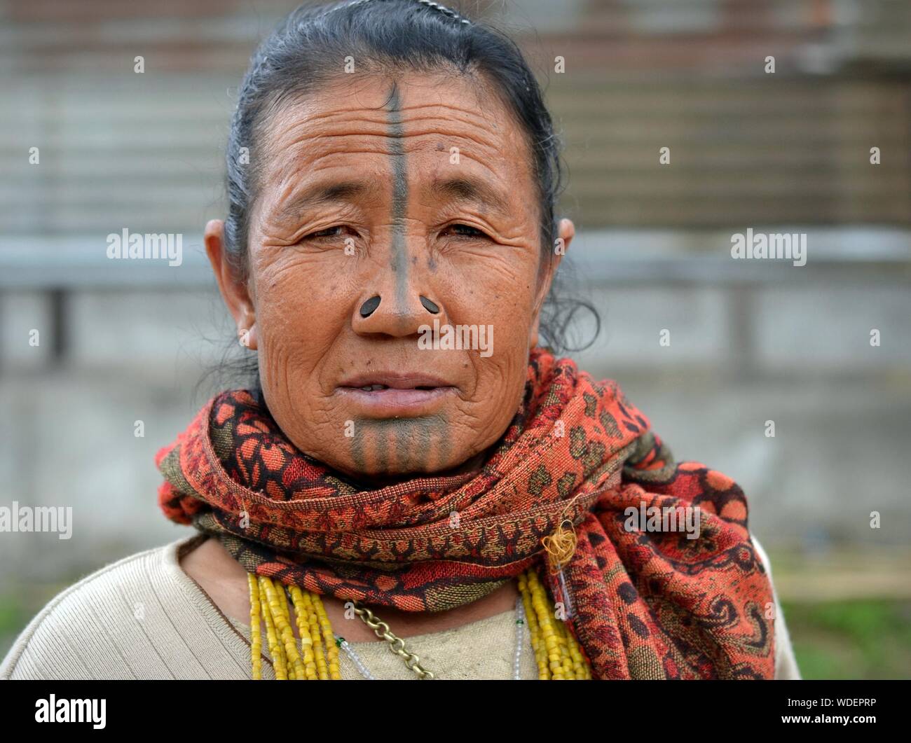 Elderly Indian Apatani tribal woman with black wooden nose plugs ...