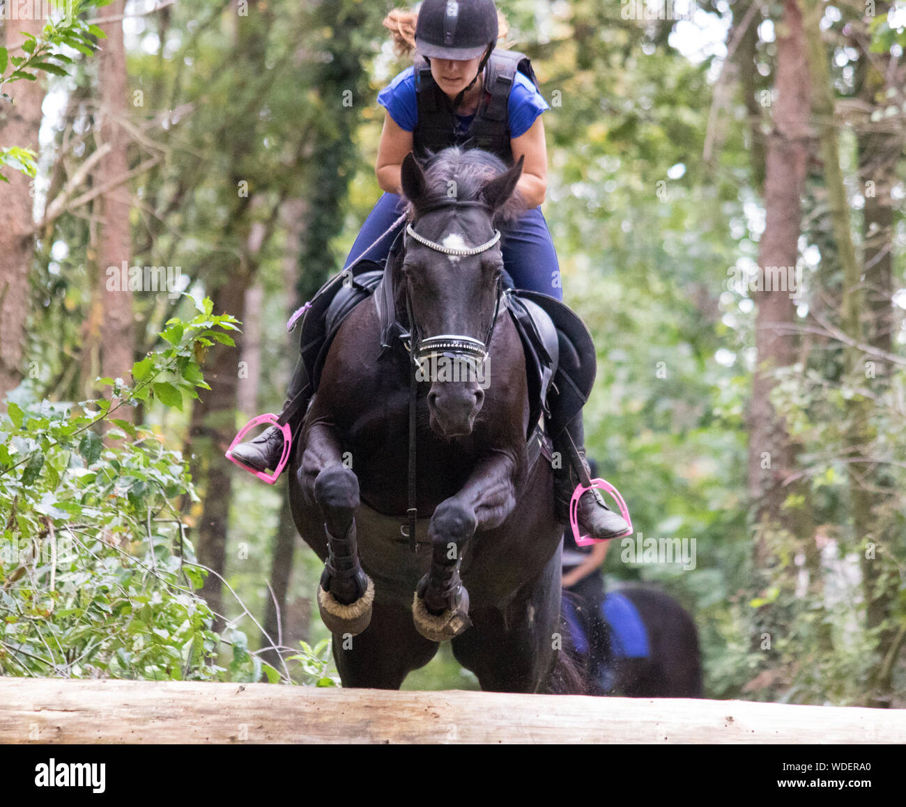 Obstacle horse racing hi-res stock photography and images - Alamy