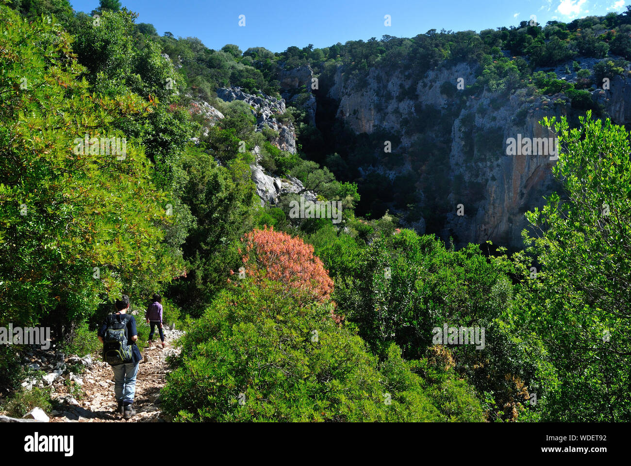 Sarga hi-res stock photography and images - Alamy