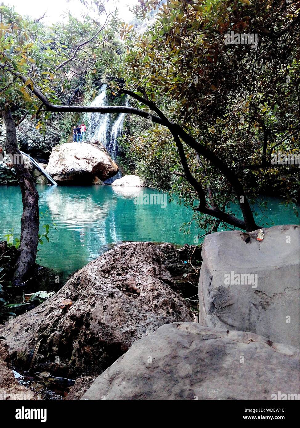 River rock tree hi-res stock photography and images - Alamy