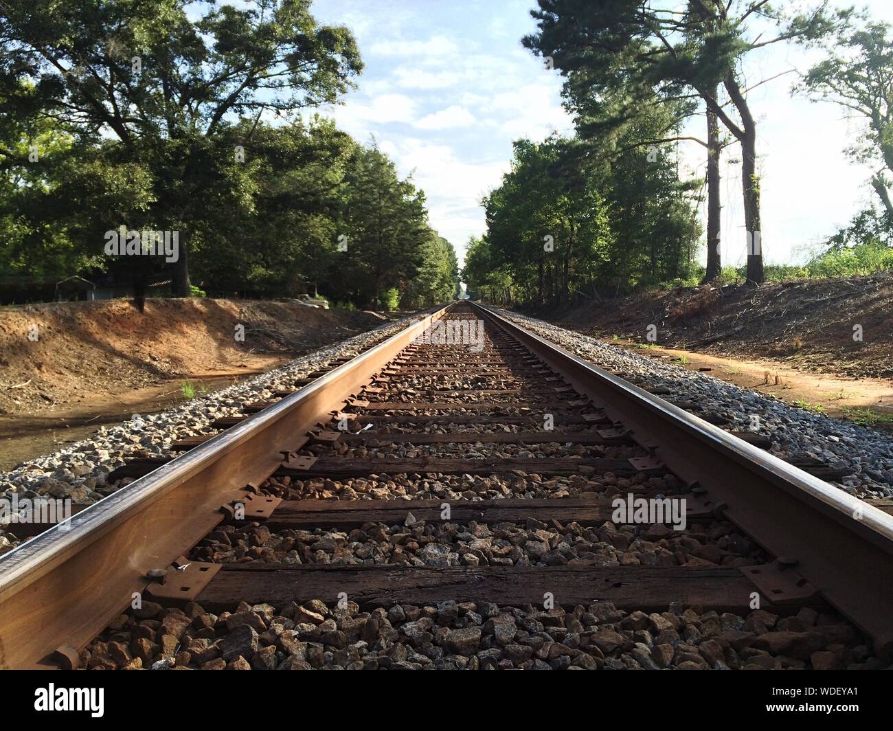 Rail way track trees hi-res stock photography and images - Alamy
