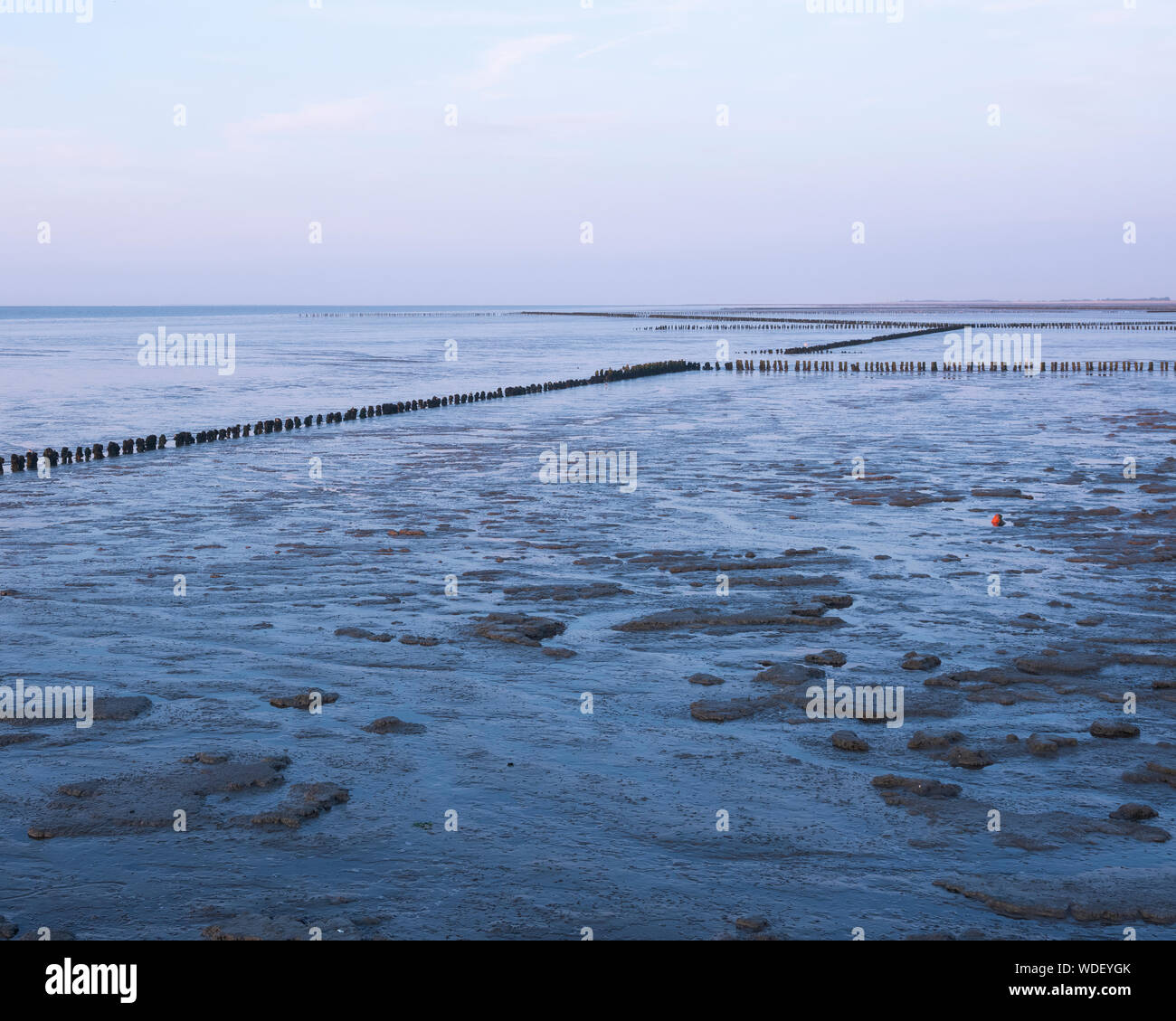 Ferry ameland sunset hi-res stock photography and images - Alamy