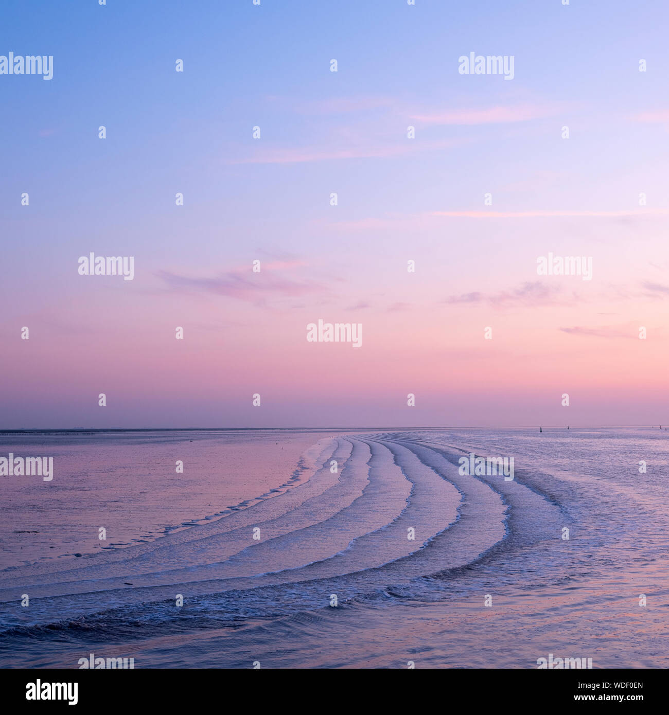 Waddenzee beach netherlands hi-res stock photography and images - Alamy