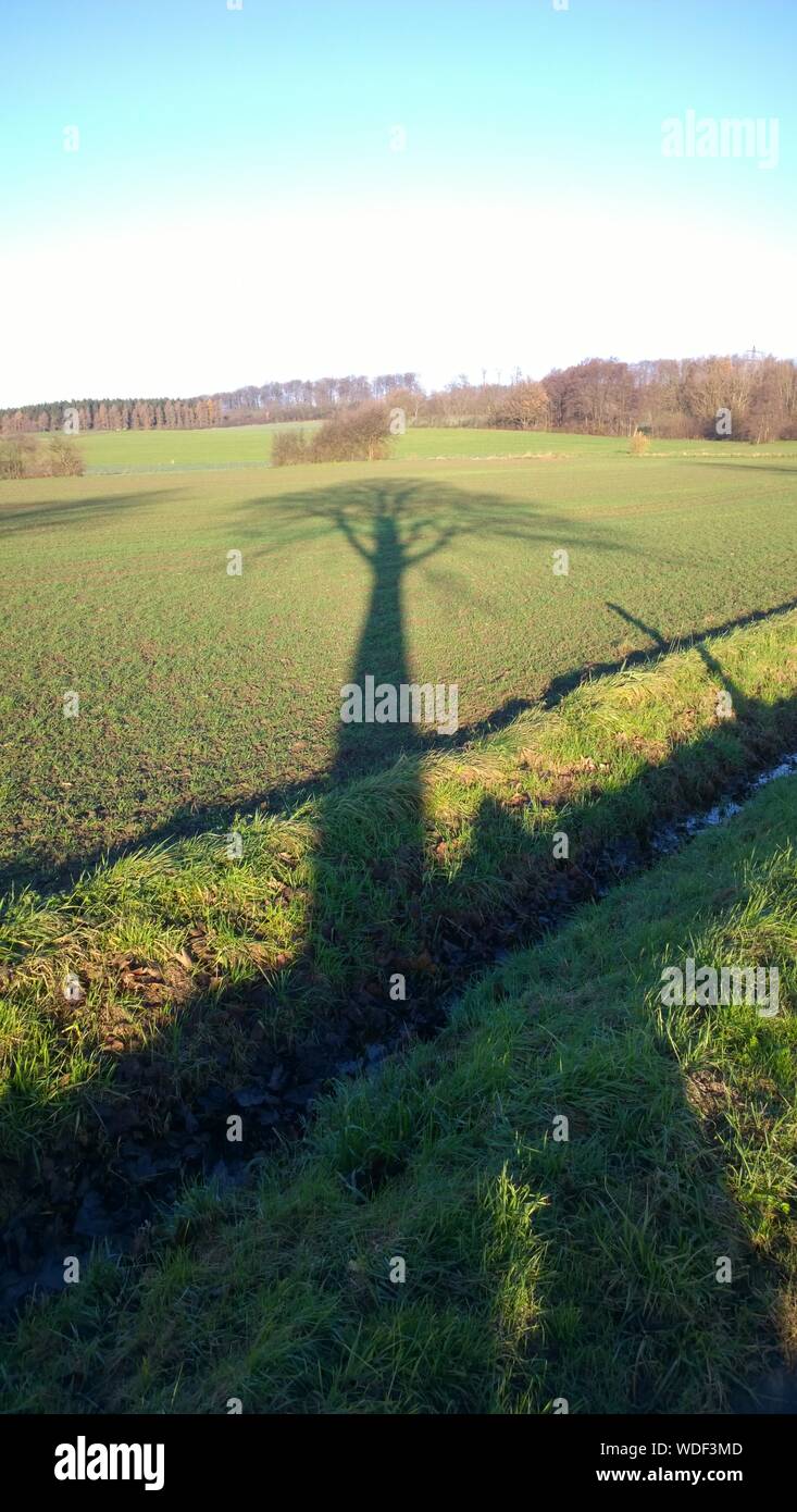 Tree shadow on the farm hi-res stock photography and images - Alamy