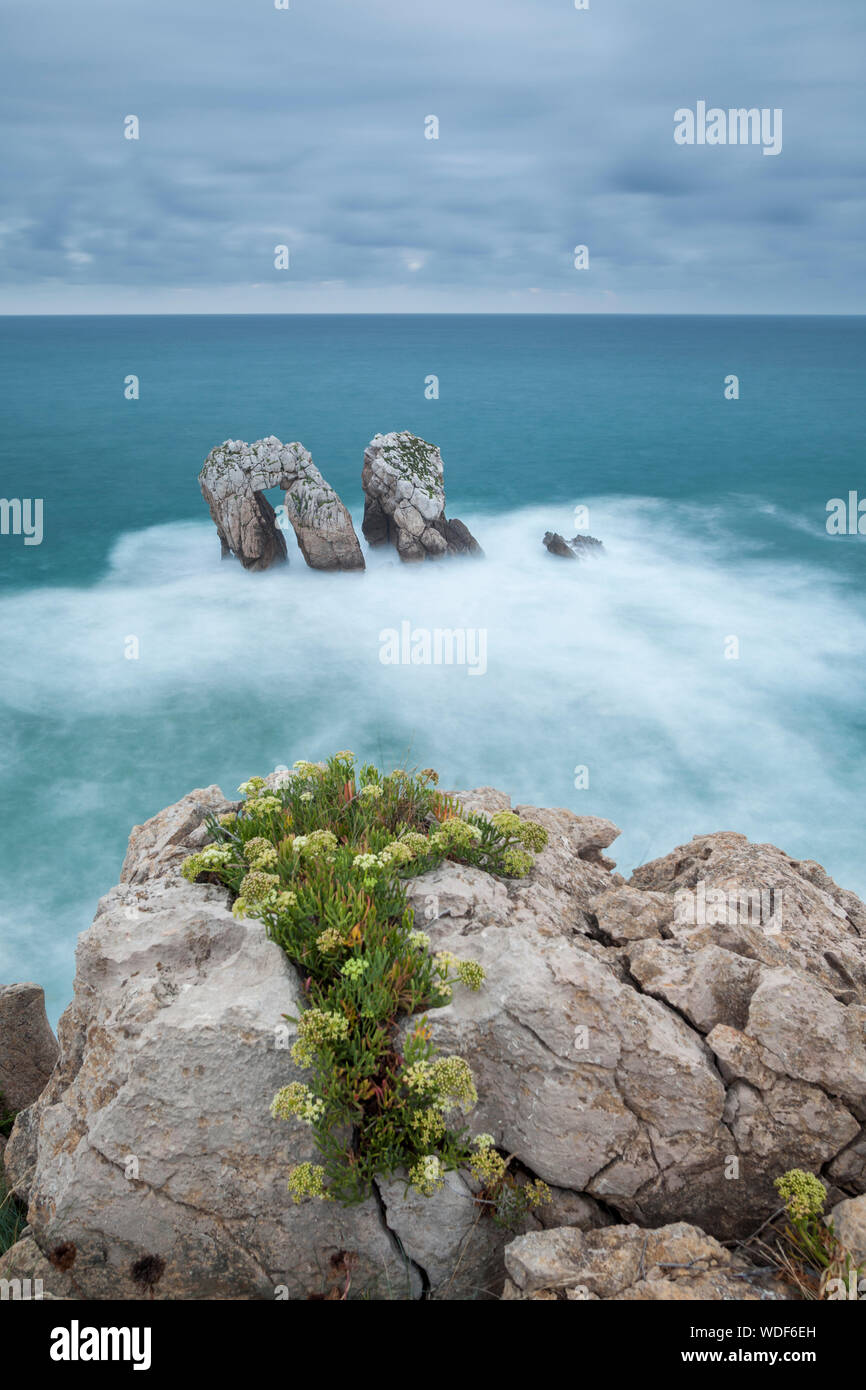 Urro hi-res stock photography and images - Alamy