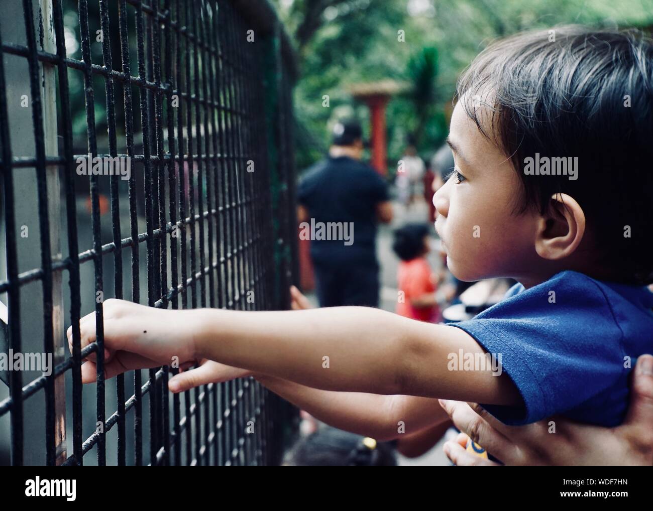 Cage age hi-res stock photography and images - Alamy