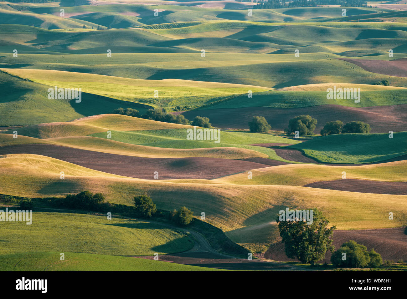 Steptoe Butte High Resolution Stock Photography and Images - Alamy