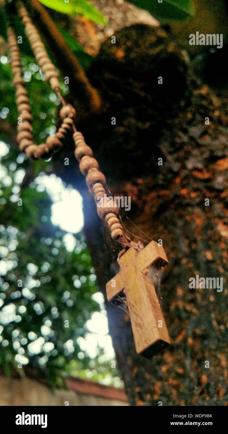 Rosary tree hi-res stock photography and images - Alamy