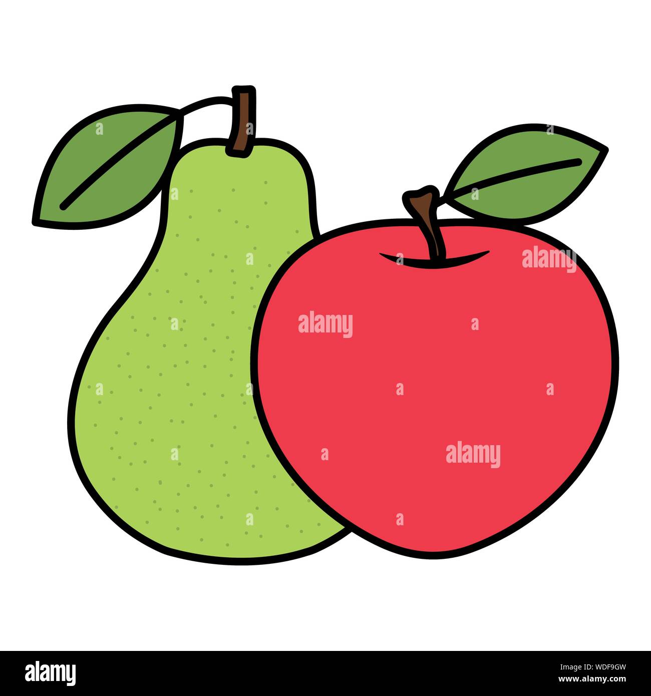 fresh pear and apple fruits vector illustration design Stock Vector Image & Art - Alamy