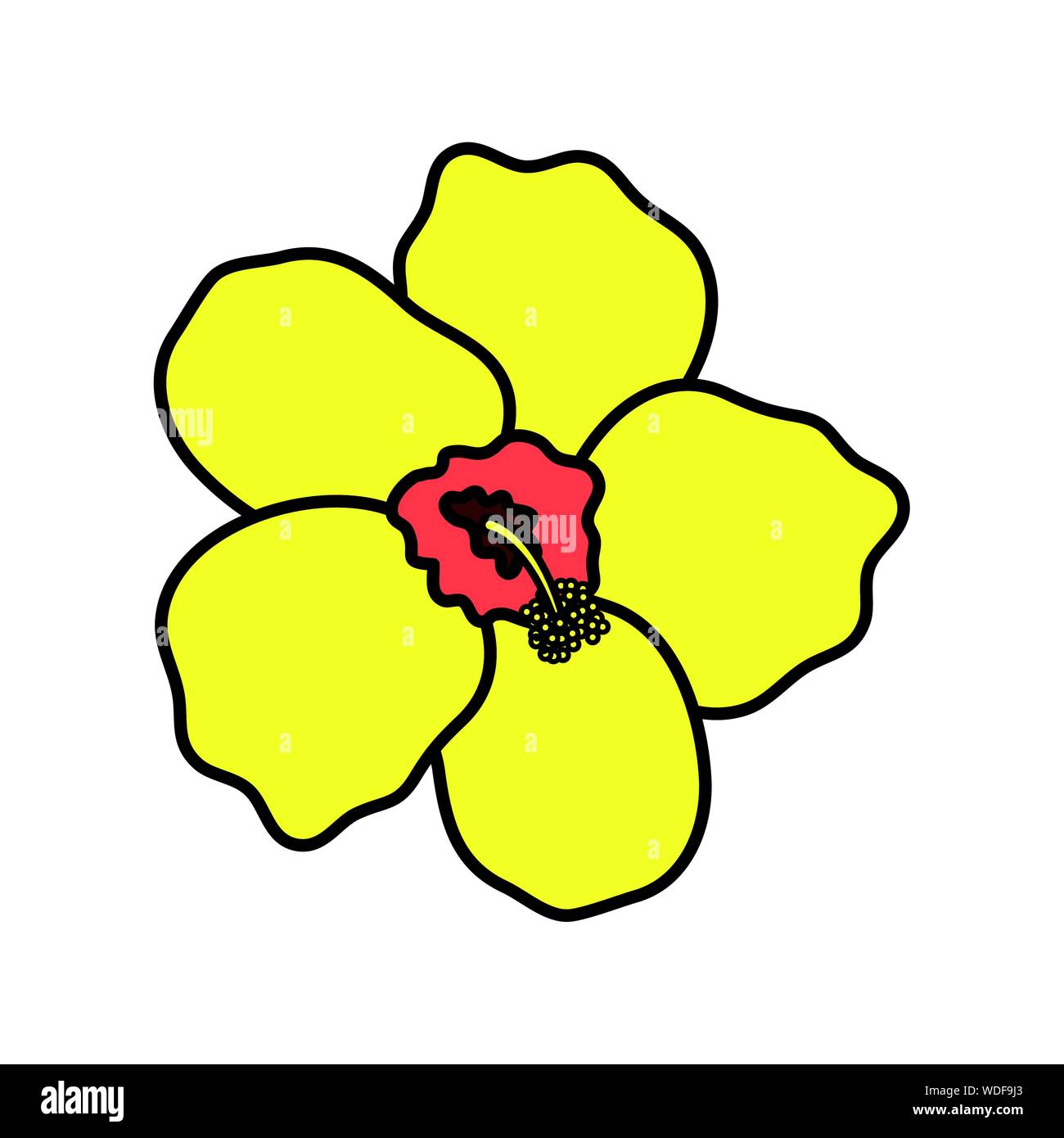 exotic and tropical flower garden vector illustration design Stock ...