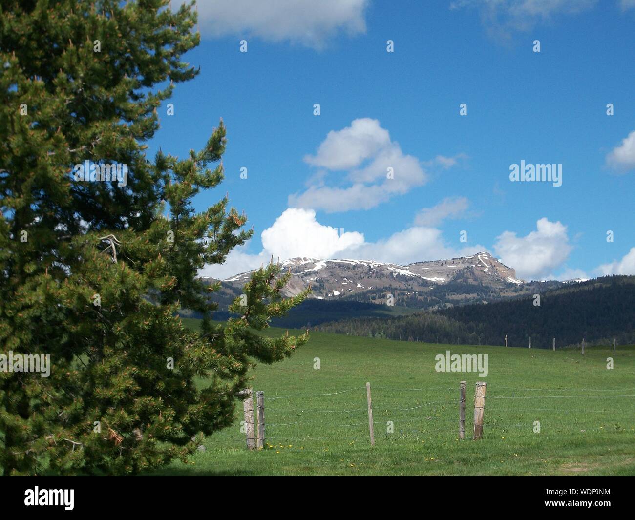 Open ranch land along hi-res stock photography and images - Alamy