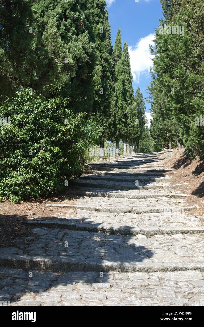Long pathway hi-res stock photography and images - Alamy