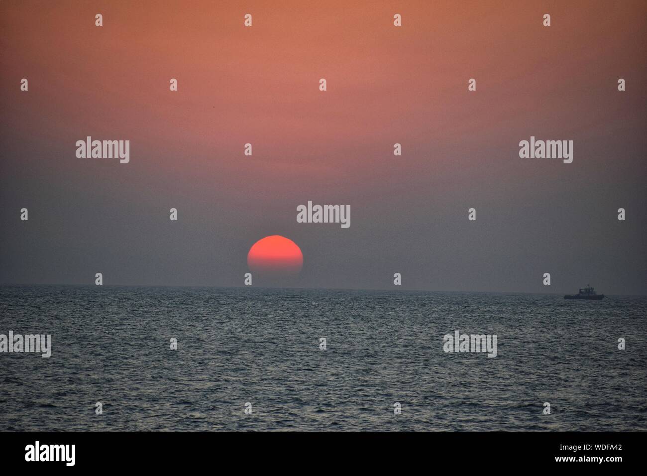 Trees View in the sunset india Stock Photo - Alamy