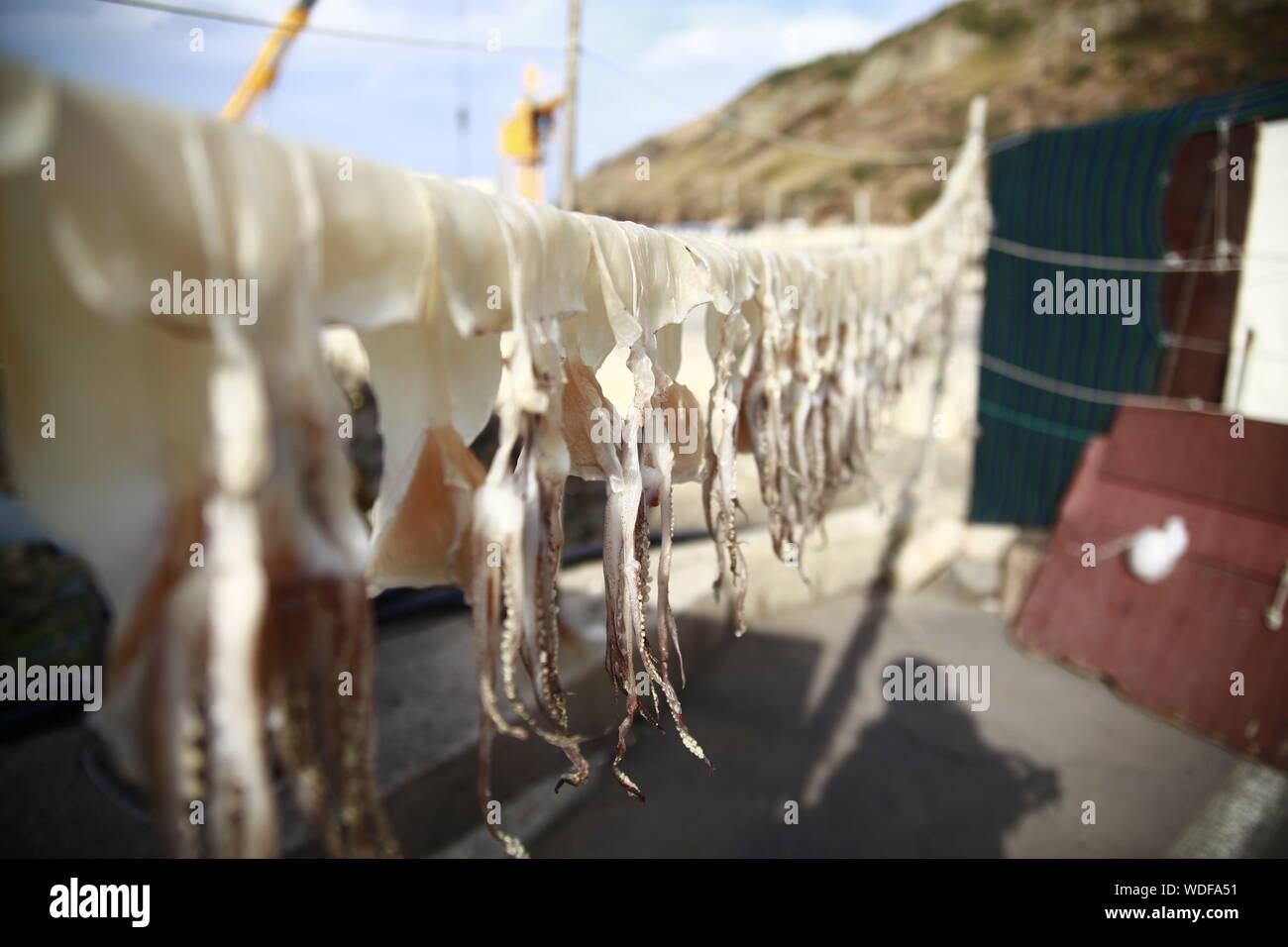 Rope drying hi-res stock photography and images - Alamy