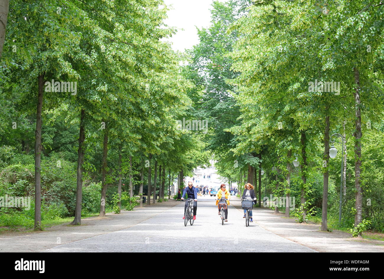 Tiergarten park garden in Berlin Germany Stock Photo - Alamy