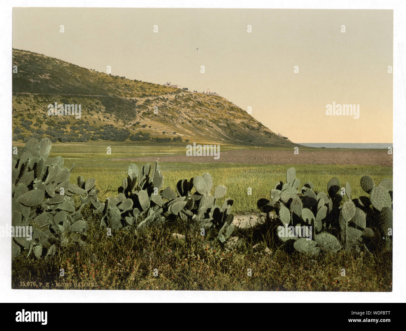 Mount carmel Cut Out Stock Images & Pictures - Alamy