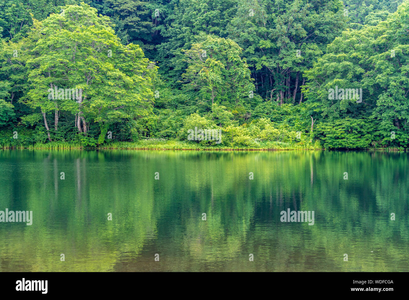Nishikawa hi-res stock photography and images - Alamy
